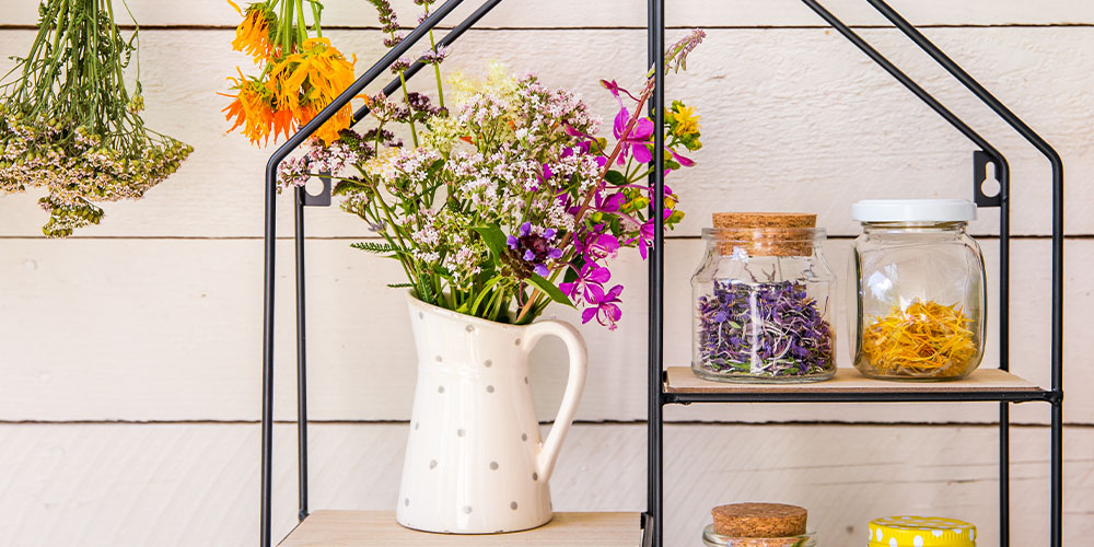 How to Grow Wildflower Cutting Gardens • Windsor Greenhouse